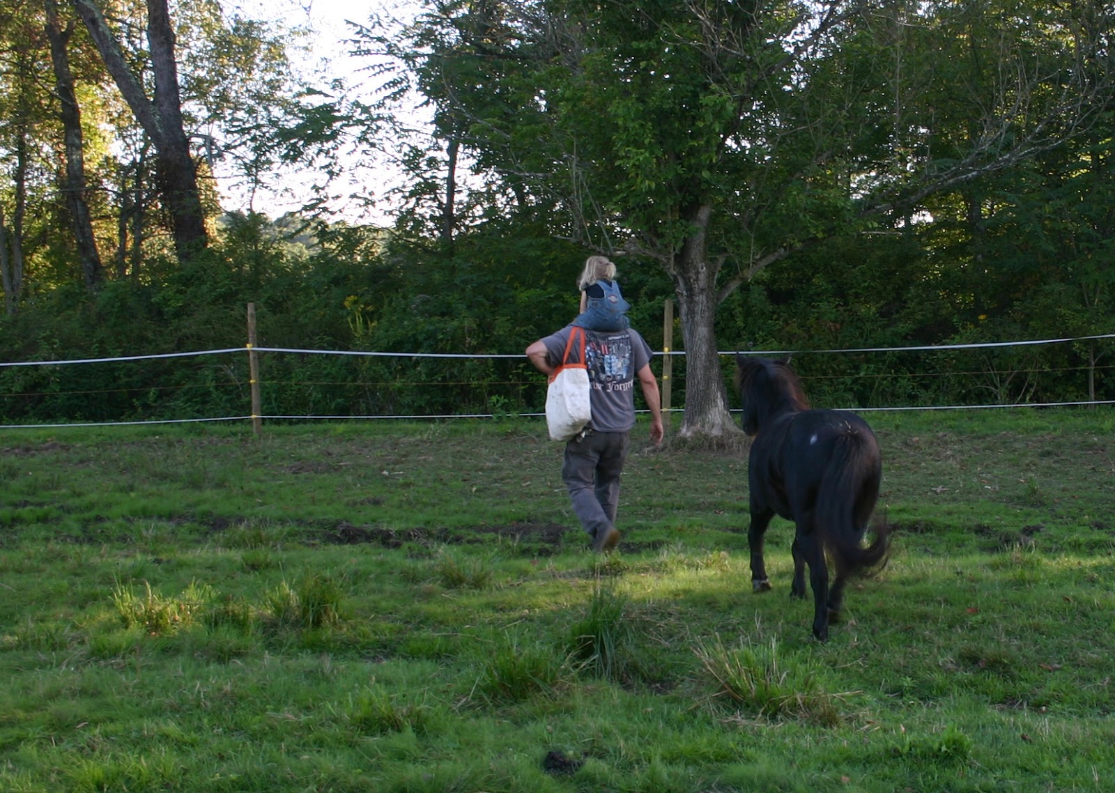 Jamboree Farm: Meet Your Farmer