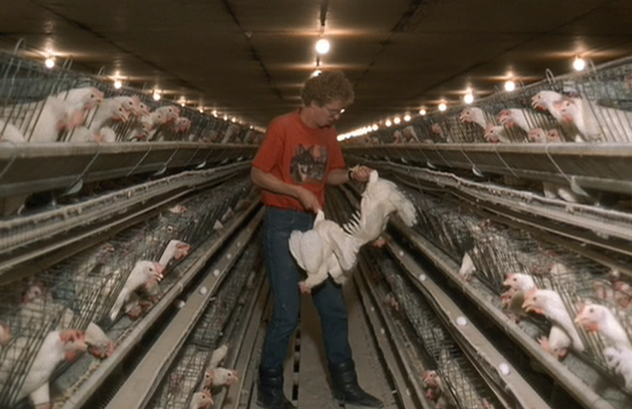 Film Filosopher Reviews: Dreamworks Animation Project- Chicken Run