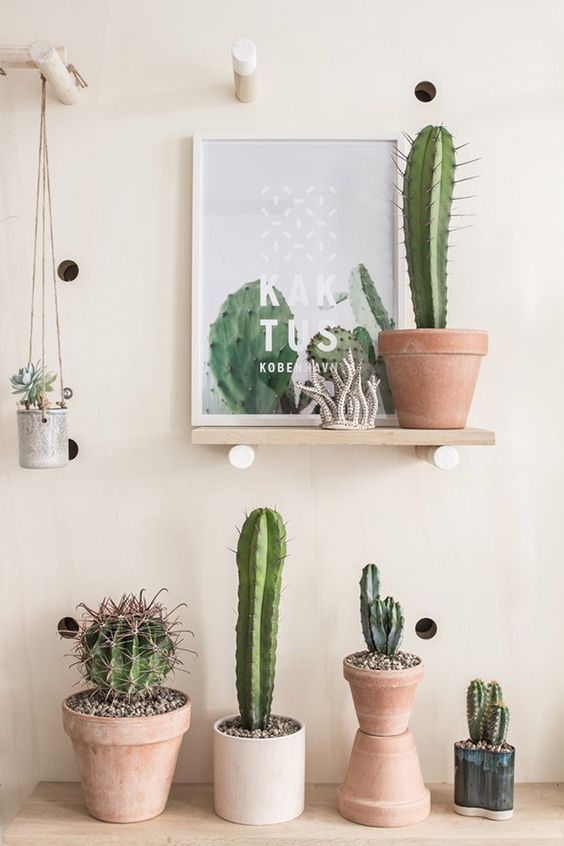 [2016 Interior Trend] Cactus & Succulents - Home Interior Design Idea
