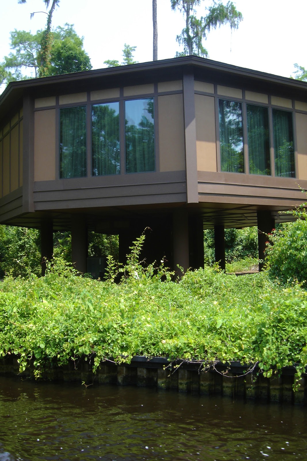 Disney Vacation Kingdom: Treehouse Villas