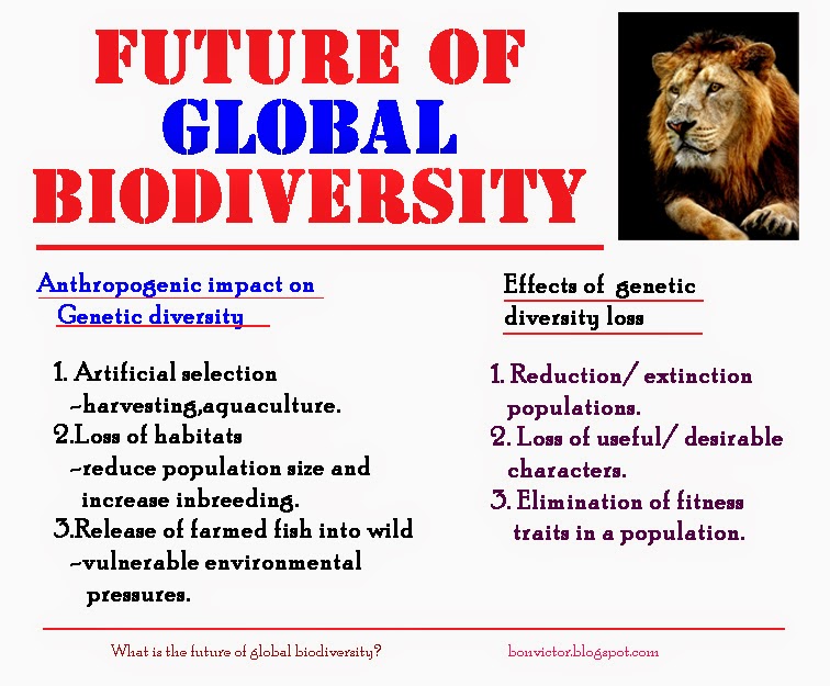 bonvictor.blogspot.com: What is the future of global biodiversity?