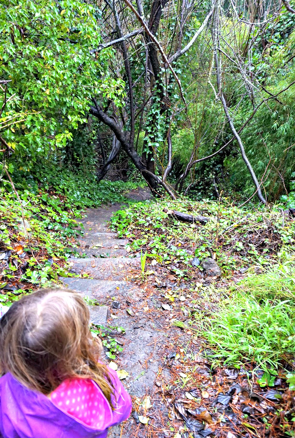 The Thrifty Traveler: Urban Hiking: The Berkeley Paths