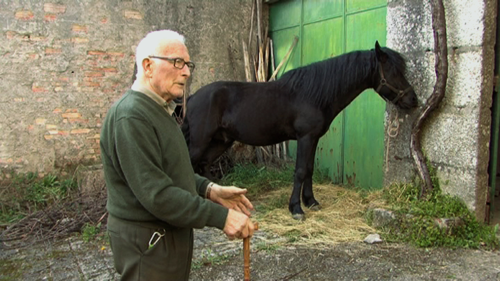 O CABALO DE PURA RAZA GALEGA / THE GALICIAN HORSE BREED / LE CHEVAL DE ...