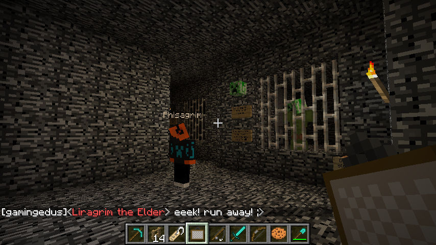 Family Gaming XP: A Minecraft Story in Still Shots