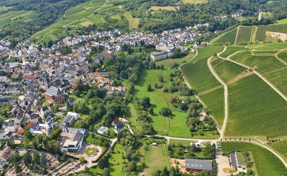 schiller-wine: Extraordinary Views of the Rheingau Vineyards - A ...