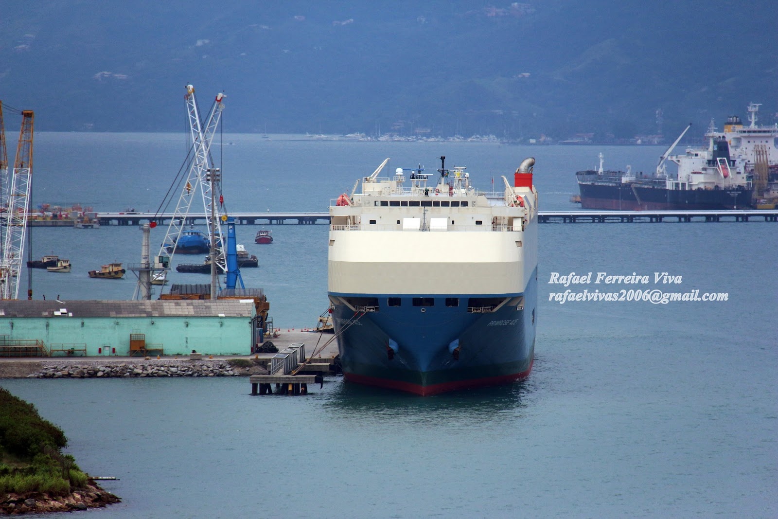 Navios em Santos: Primrose Ace