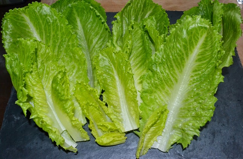 Yvonne & Sandra: BEHR AG - Frisches Gemüse, direkt vom Feld