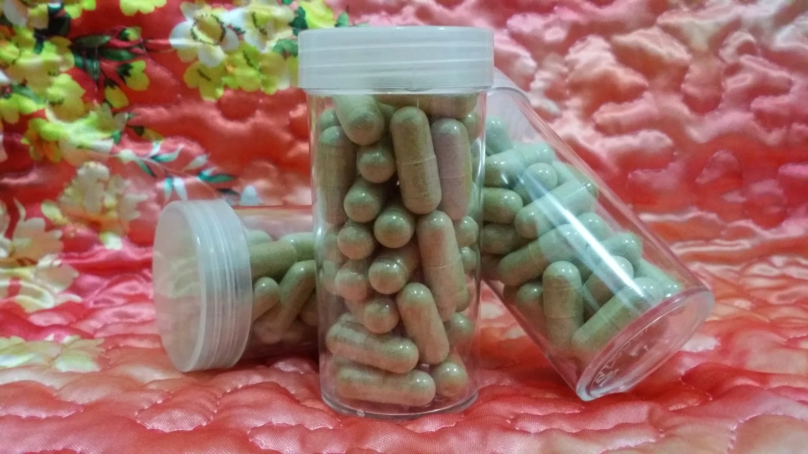 BUAH ZURIAT DEBUNGA KURMA: Manjakani Arab Alhabib