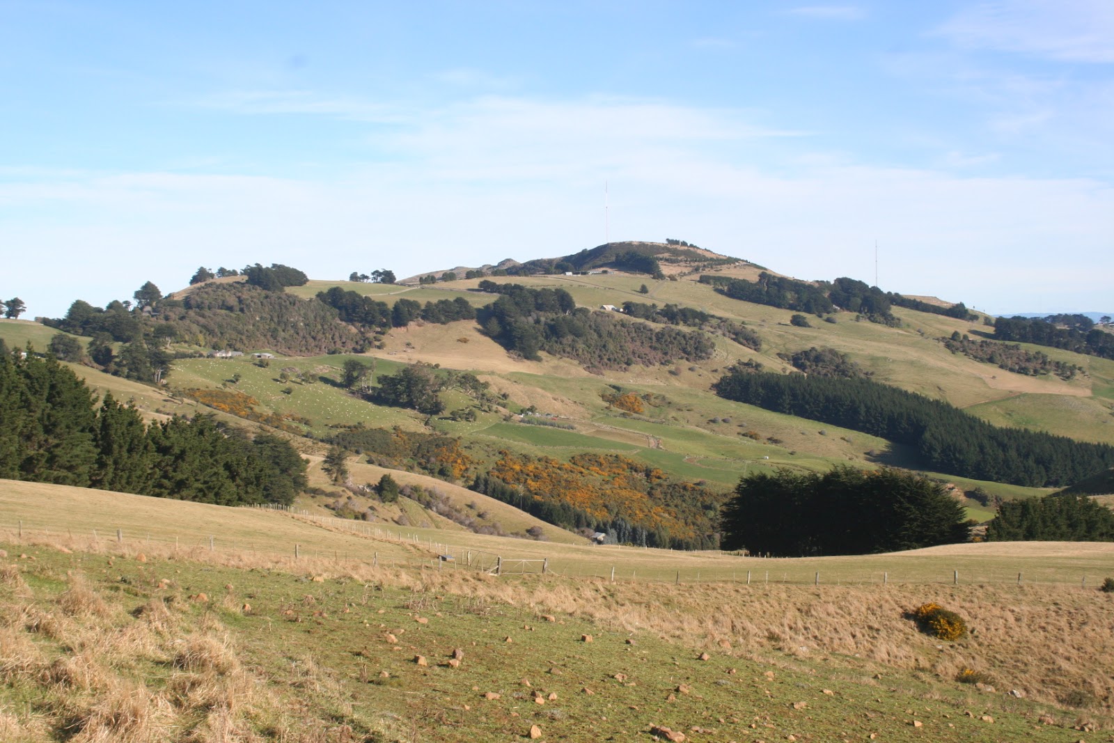 1000 Amazing Places: #932 Otago Peninsula, New Zealand