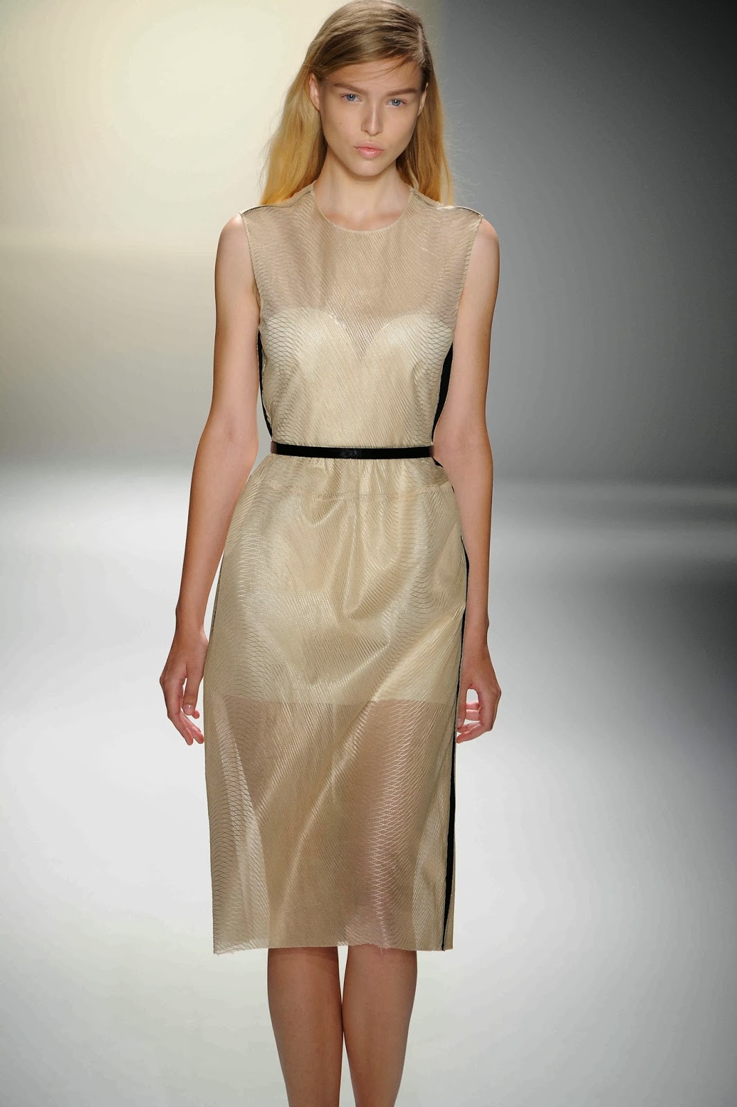 Look at those shoes: SHEER LAYERED DRESSES SS14 - TREND FORECAST