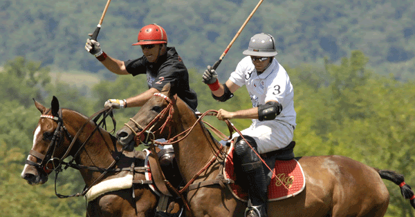 Polo Berkuda - Kumpulan Olahraga