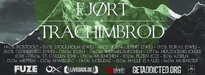 OPENmind/SATURATEDbrain))))): ***exclusive TRACHIMBROD interview***