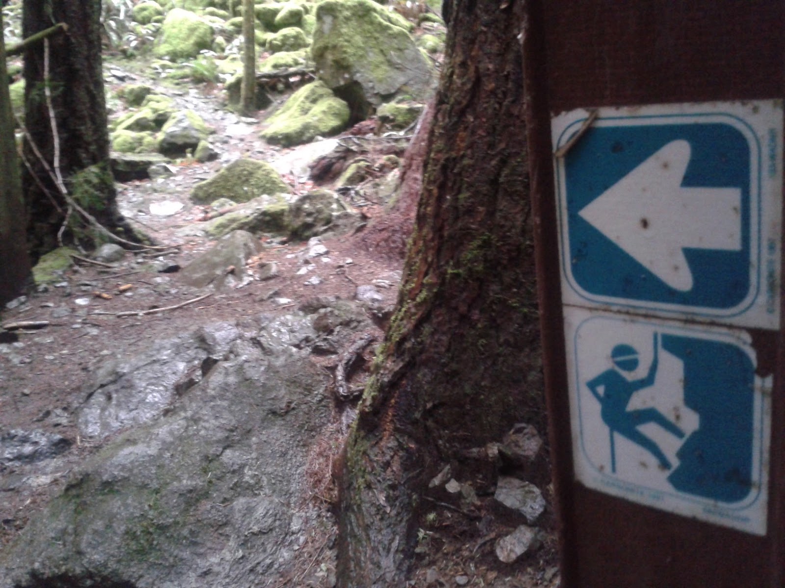 Urban Trailseeker: Hiking Trip Report: Little Si, Boulder Garden Loop