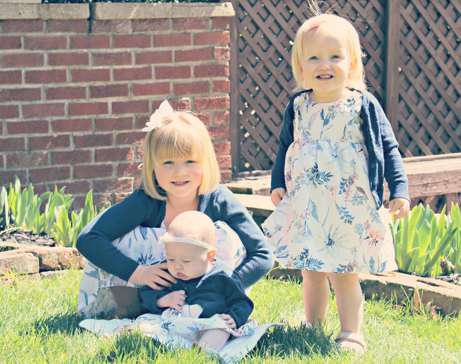 Hargis Family Adventures