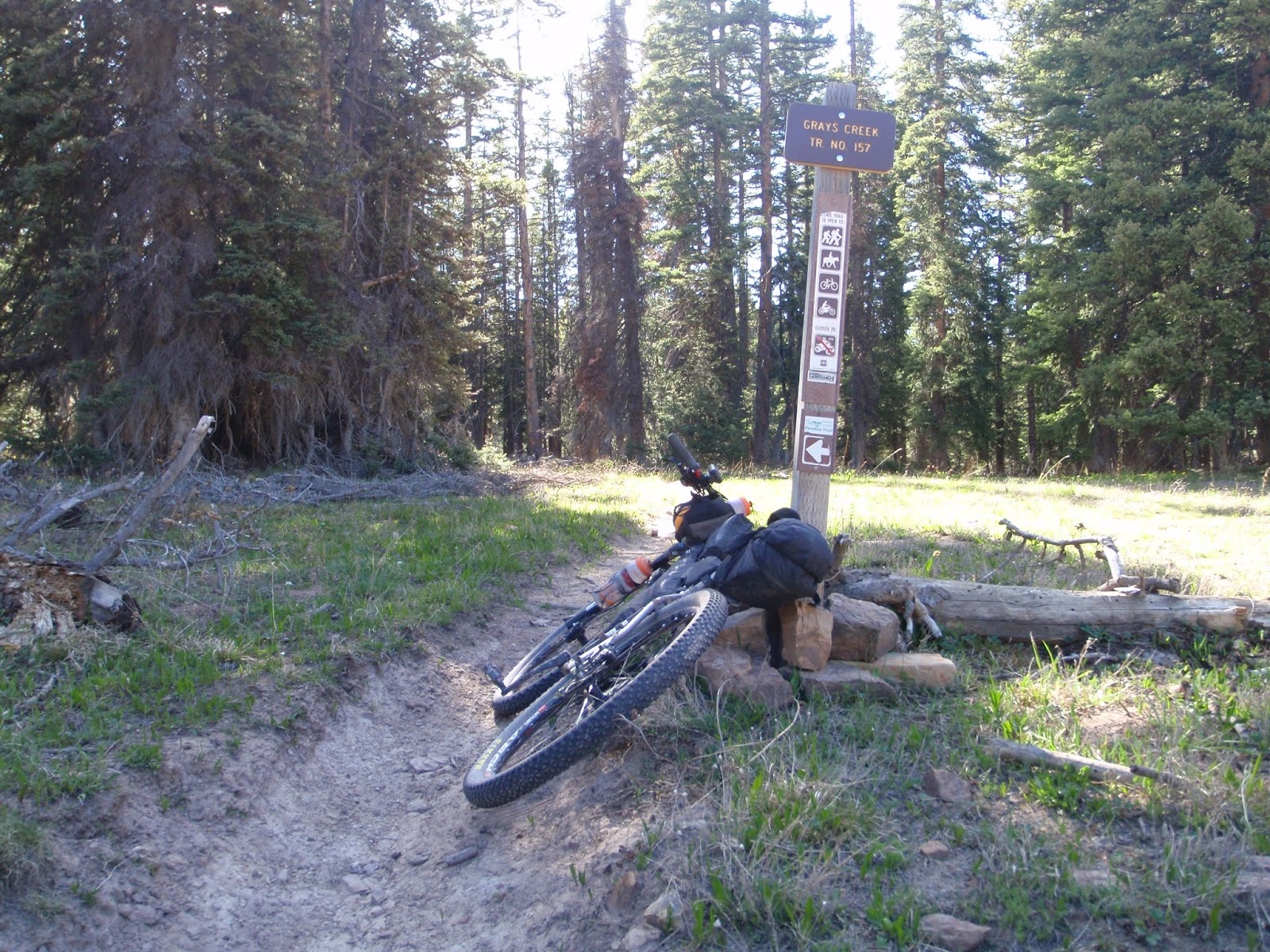 Zips Spot: A Grand-er Loop