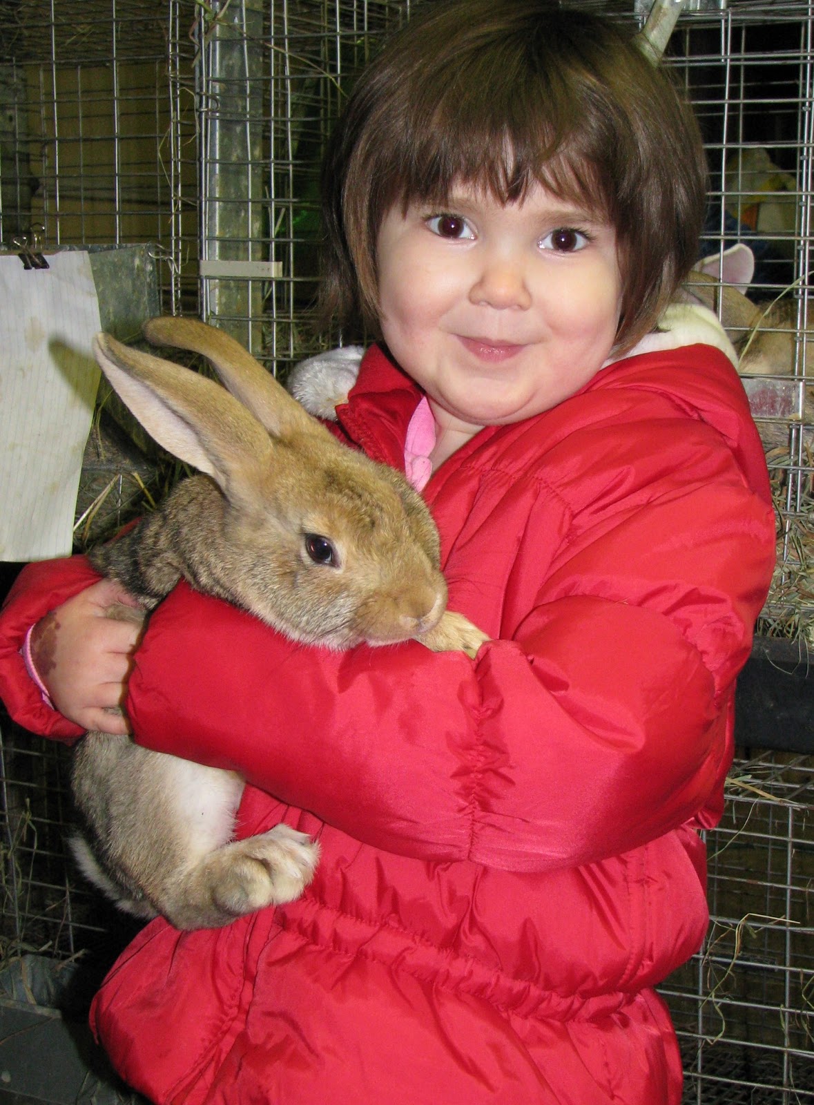 Our Small Farm in the Woods: Meet The "Bun Buns" PART 2