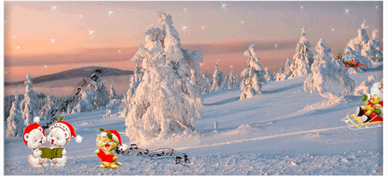 Kameran kertomaa: Hauskaa Joulua ja Onnekasta Uutta Vuotta kaikille!