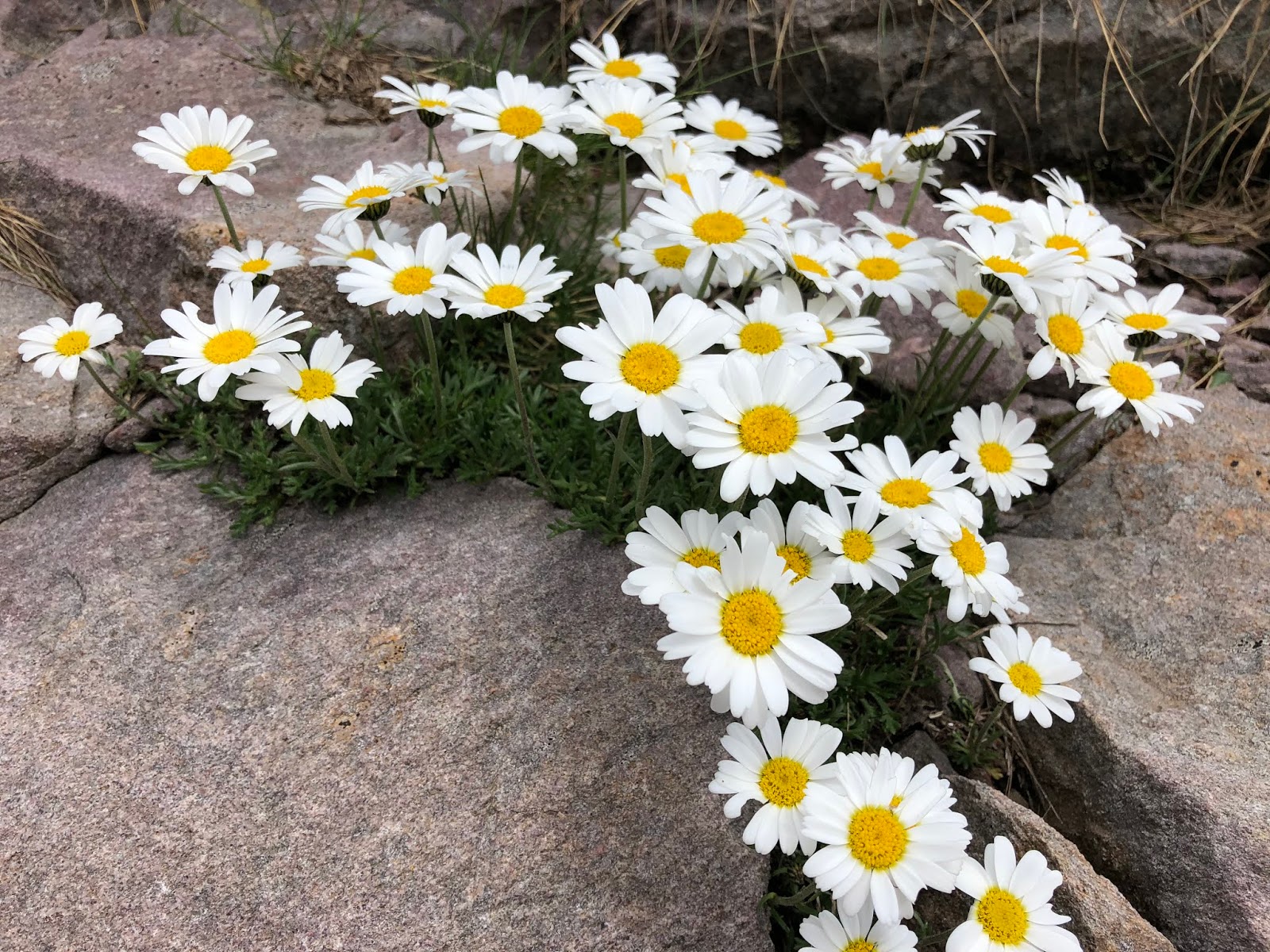 TravelMarx: Seven Days on the Sentiero delle Orobie – A Journey Through ...