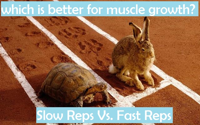 Go Swollen Stay Shredded.: Slow Vs. Fast Reps. Which is better for ...