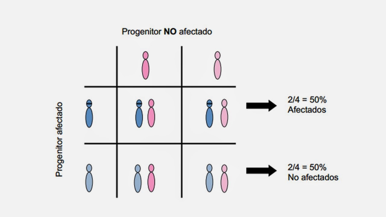Genética en la enfermedad: Enfermedad autosómica dominante