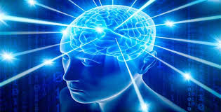 The Surprising Quality Of High IQ Brains