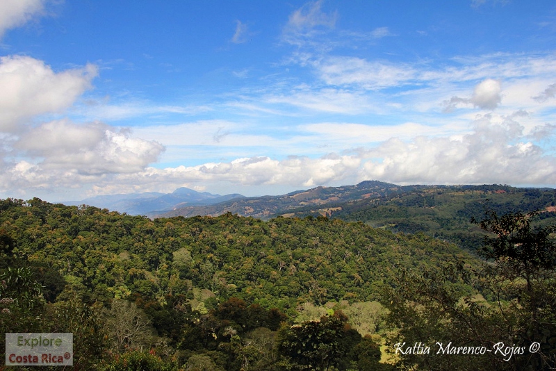Cerro de La Muerte | Explore Costa Rica