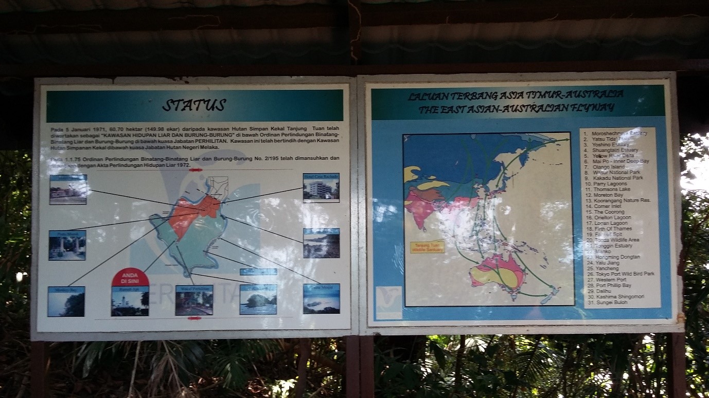 Mohd Faiz bin Abdul Manan: Rintis Pulau Intan