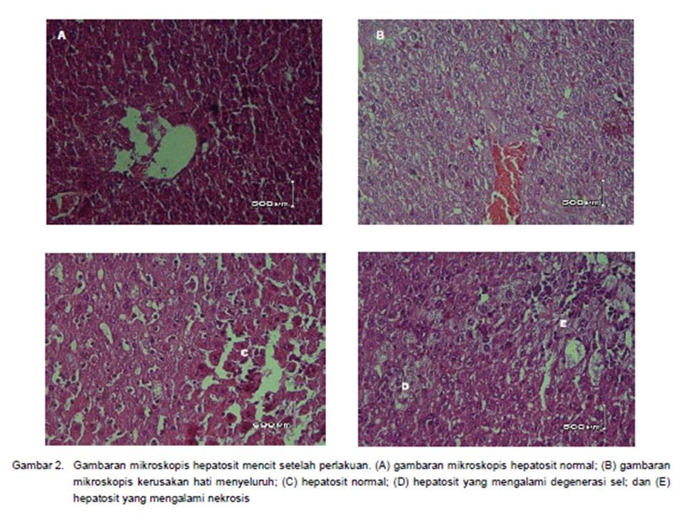 Hamida Kahlil: Cara Mereview Jurnal