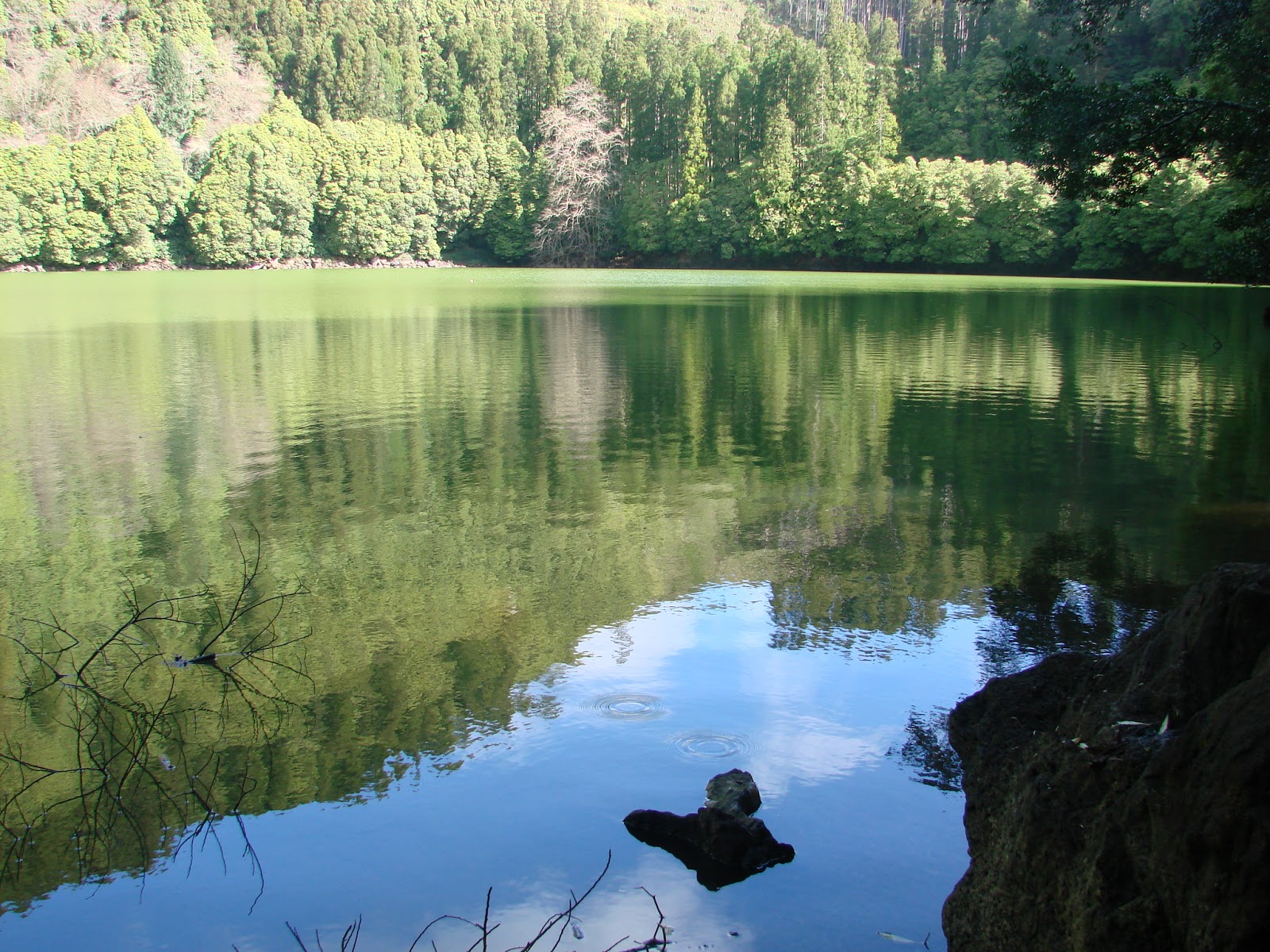 TERRA LIVRE: Lagoa do Congro e Lagoa dos Nenúfares
