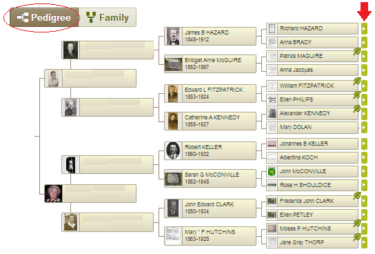 Twisted Twigs On Gnarled Branches: Time to tally up your family tree ...