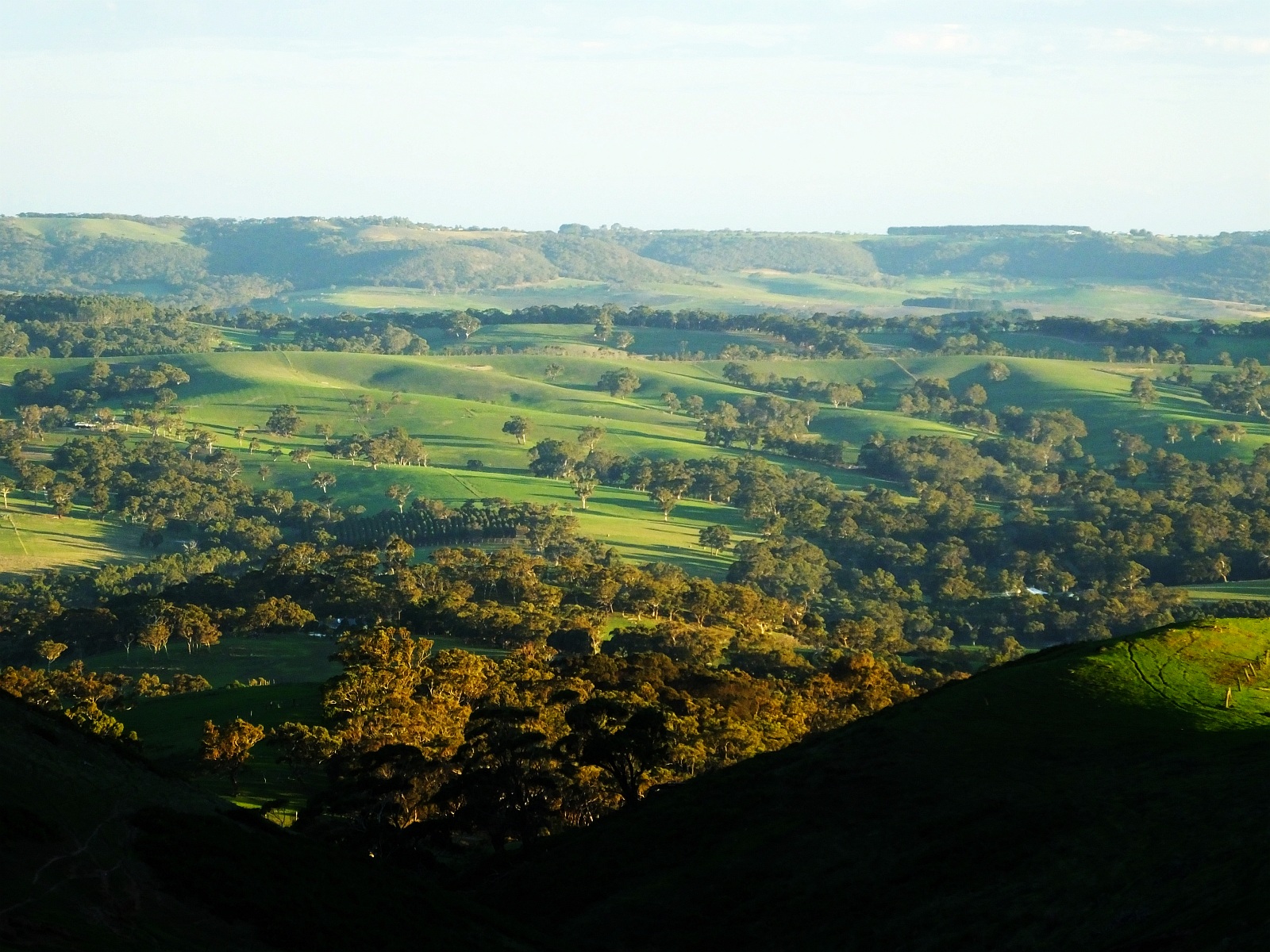 Meander to the Max: The view from Mount Alma -- high country, and ...