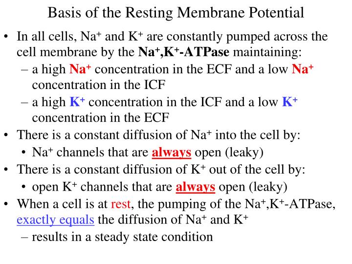 EXAMS AND ME : Resting Membrane Potential