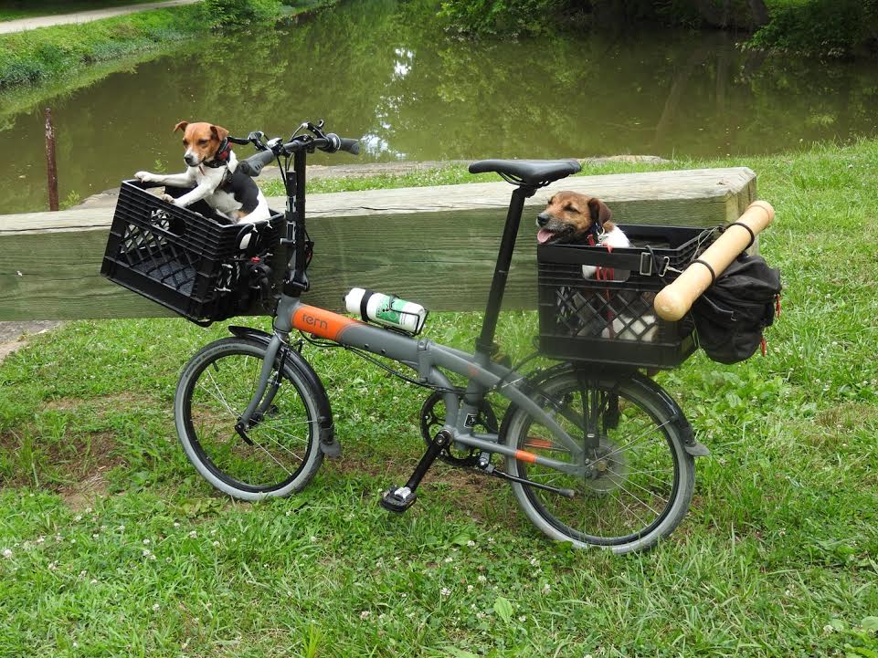 Terrierman's Daily Dose: A Moveable Circus