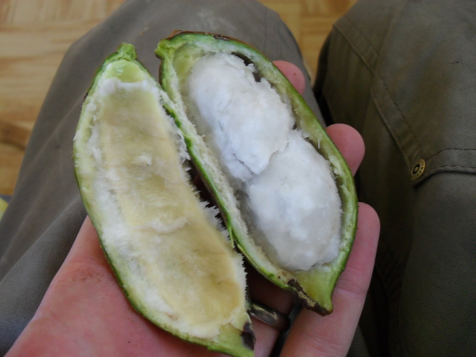 Que Es Un Guaba at Ernest Rue blog