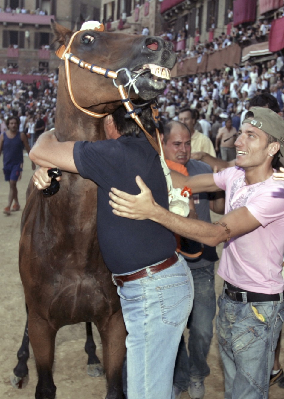 est100 一些攝影(some photos): Italy's Medieval Horse Race 意大利中世紀賽馬