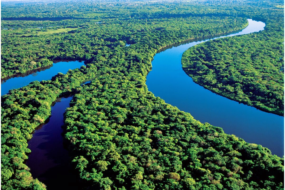 Padurea Amazoniana - un paradis imens si fragil