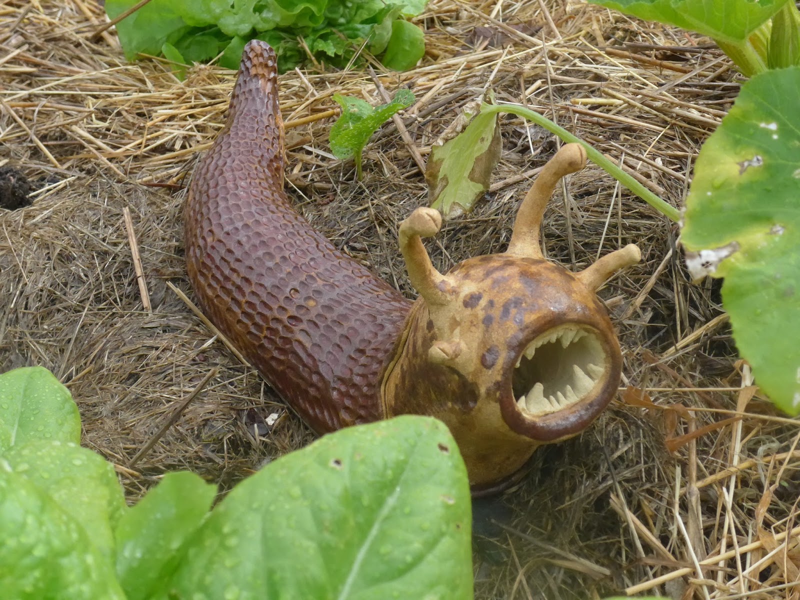 konik polski: Nowoczesne metody zwalczania ślimaków nagich.