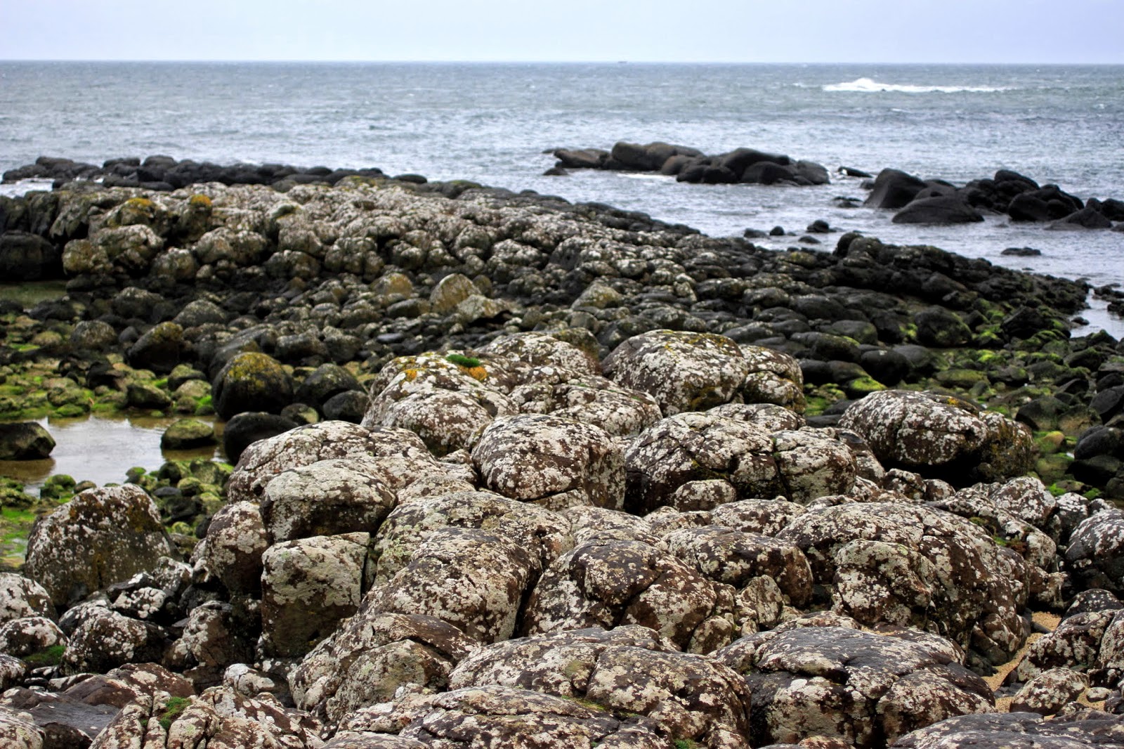 Fotoodyseja: Giant’s Causeway (Grobla Olbrzyma)