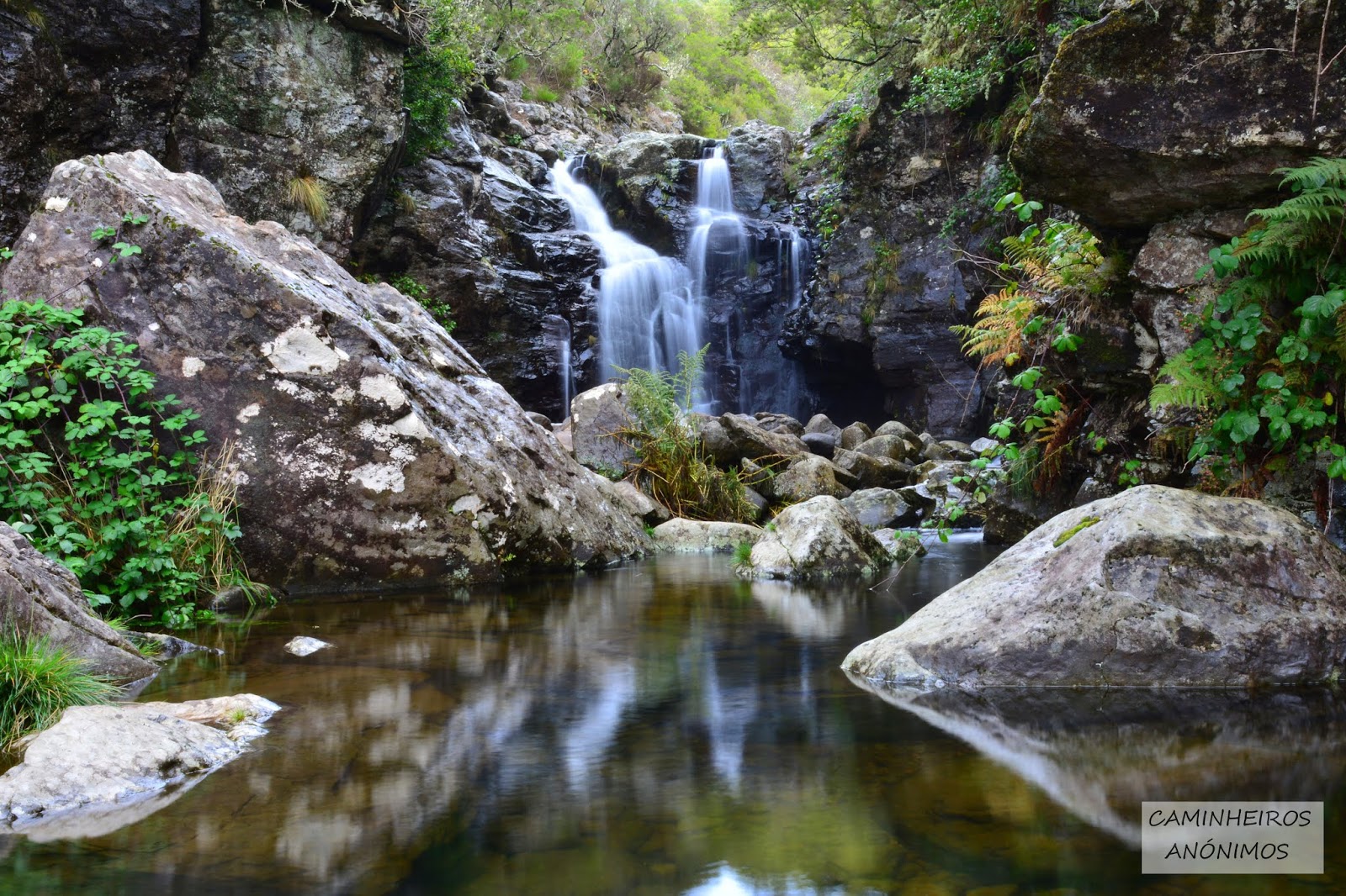 Caminheiros Anónimos Levadas da Madeira : Levada Grande do Paul (Calheta)