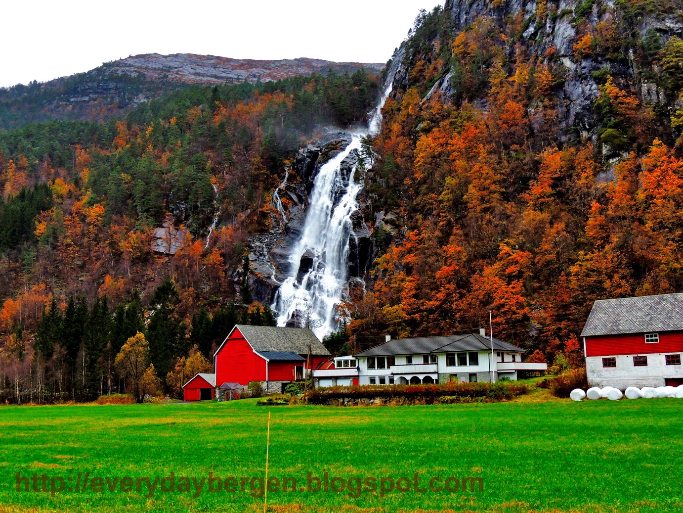 Modalen