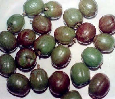 Naturalism - the Eighth Sense: The Wonders of Siniguelas (Spondias ...