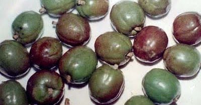 Naturalism - the Eighth Sense: The Wonders of Siniguelas (Spondias ...