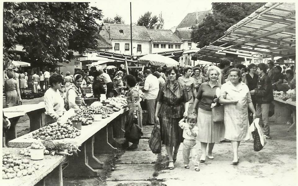 Појезна - Дервента - ПЕСА: ЖИВЕ СЛИКЕ - ШЕТЊА