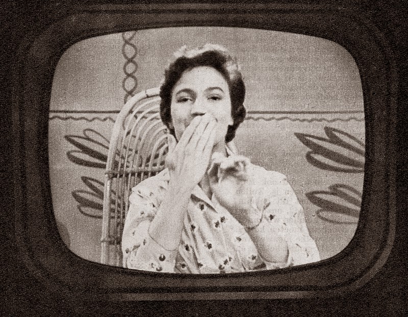 STADHOUDERSLAAN: Televisie