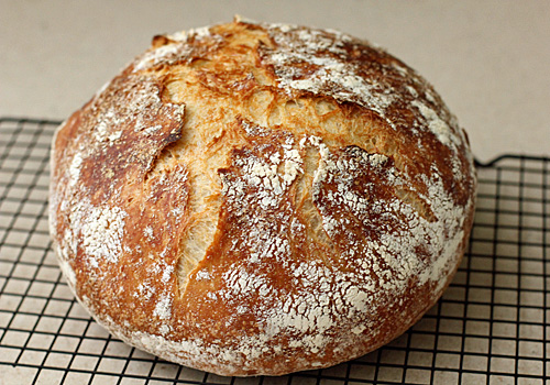 Everyday Gourmet : ~ ~NO KNEED BREAD