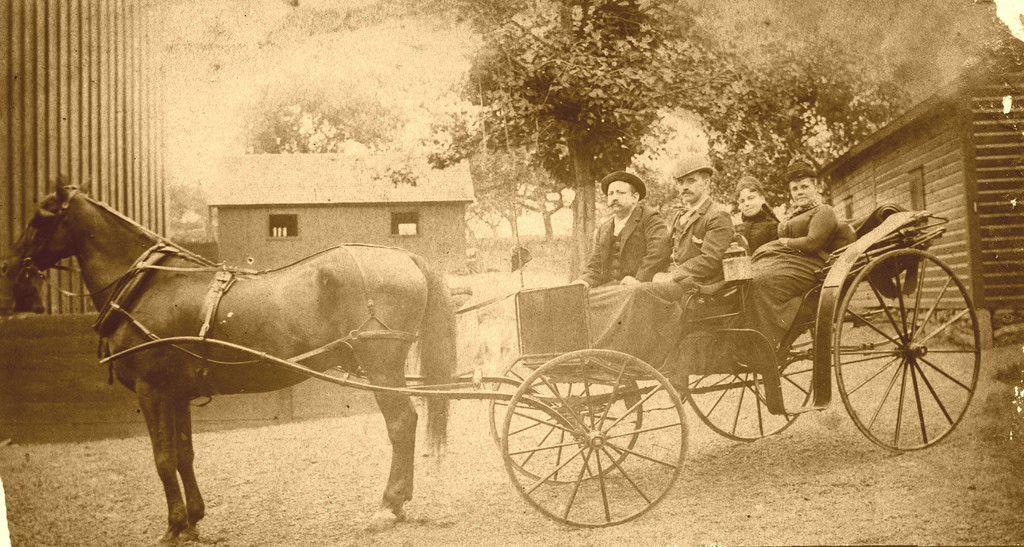 Horse and Buggy: One of the Common Transports Before 1900 ~ Vintage ...
