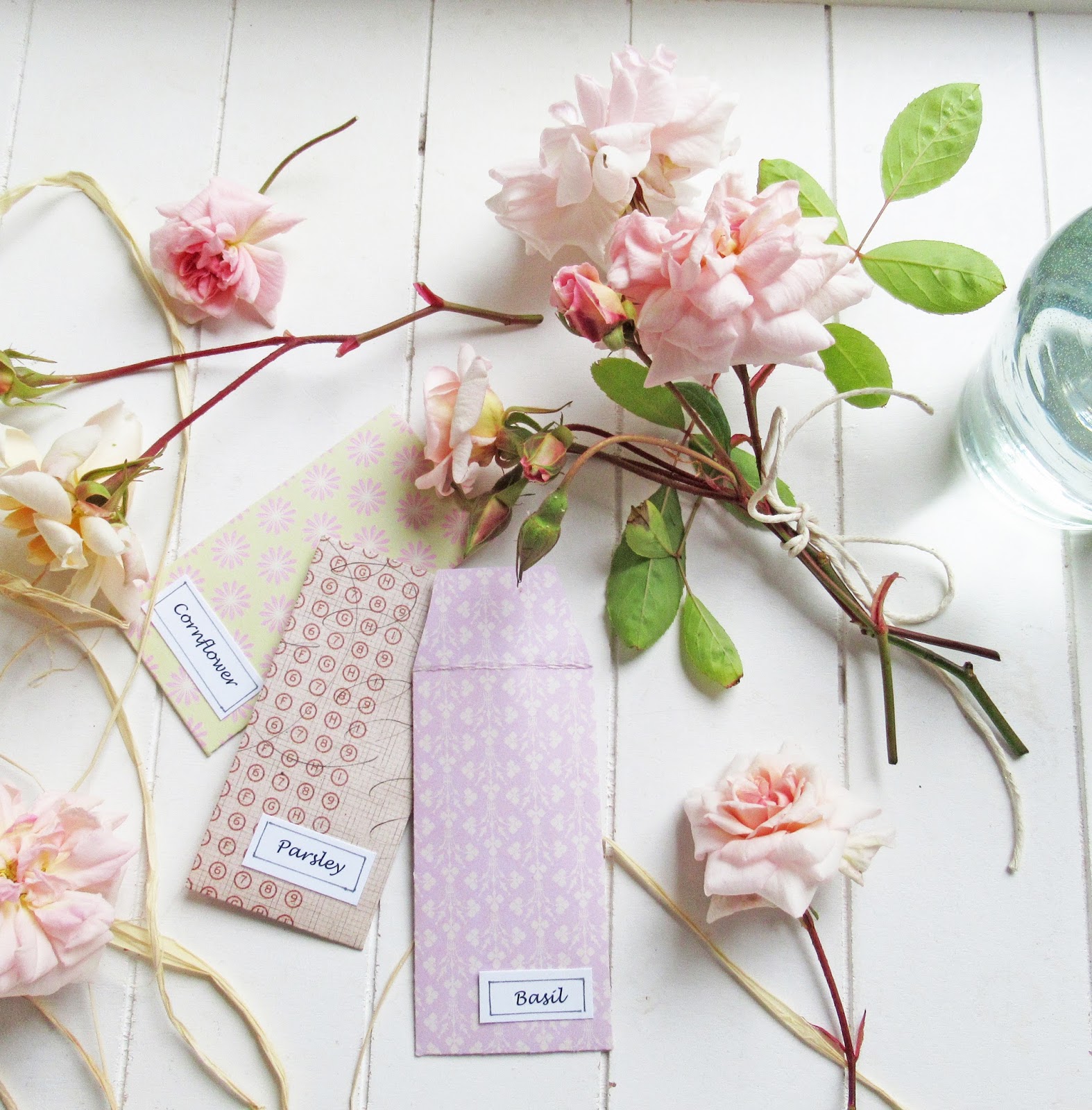 Helen Philipps: Garden Notes