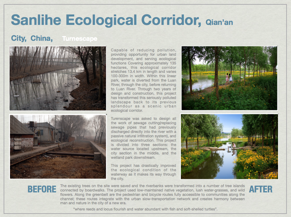 River Rea Regeneration Project