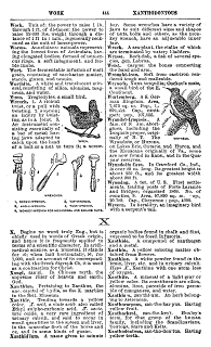 Digital Stamp Design: Free Book Digital Stamps: 3 Pages from Antique ...