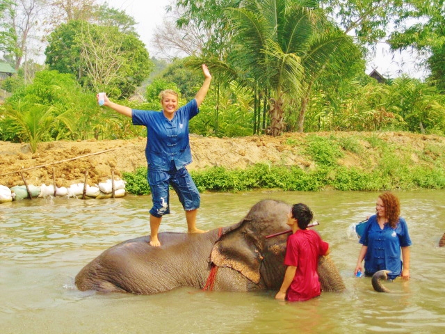 Wander: Bungee Jumping and a day with the Elephants!